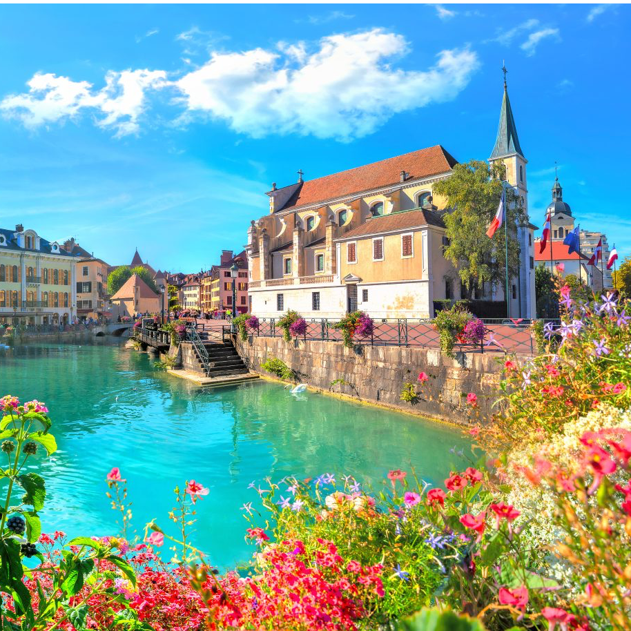 Summer Programs | AMOS